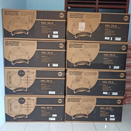 HDL 30-A Active Two-Way Line Array Module - Guanaja, Honduras